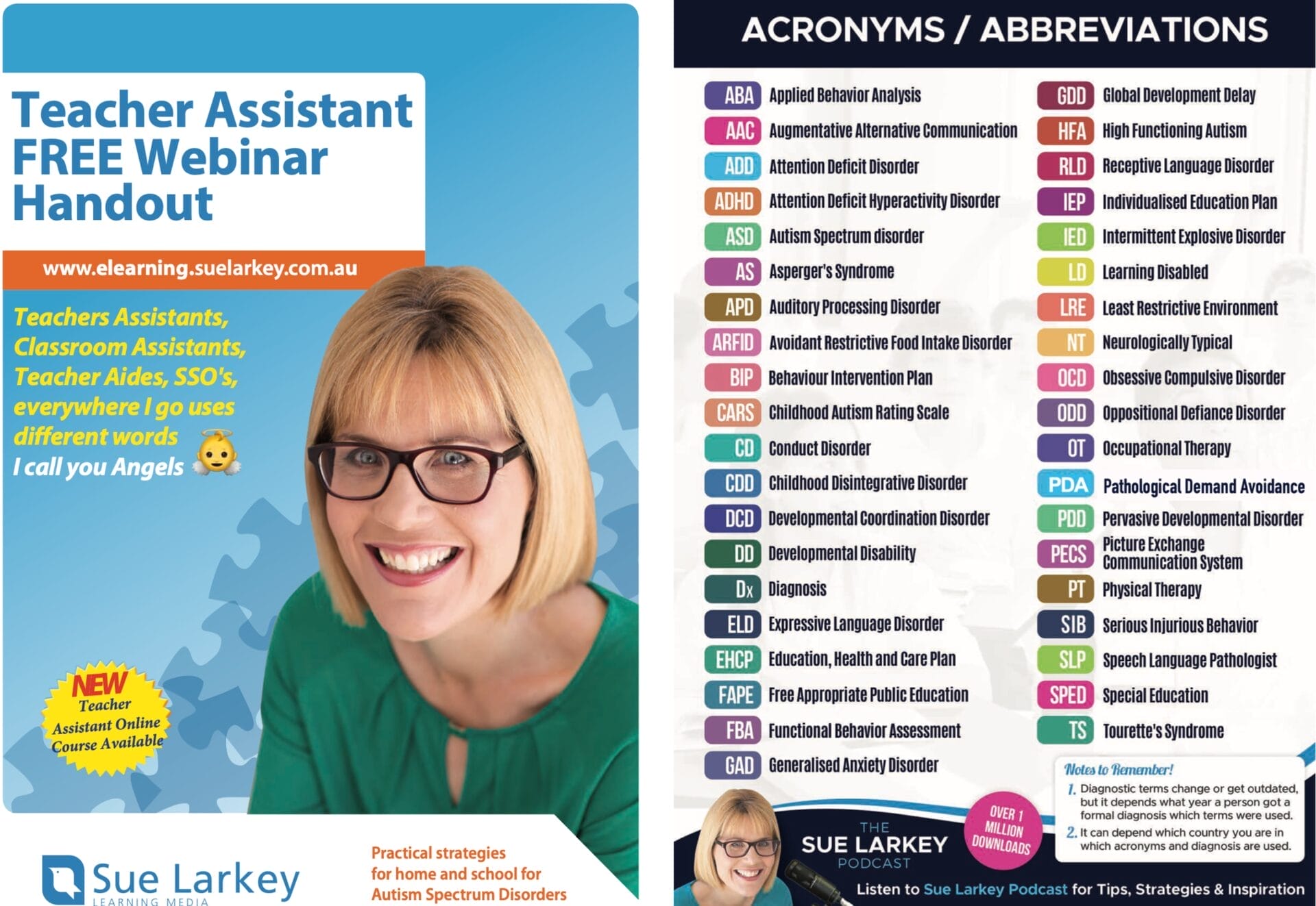 Teacher Assistant Free Webinar - Sue Larkey E-Learning