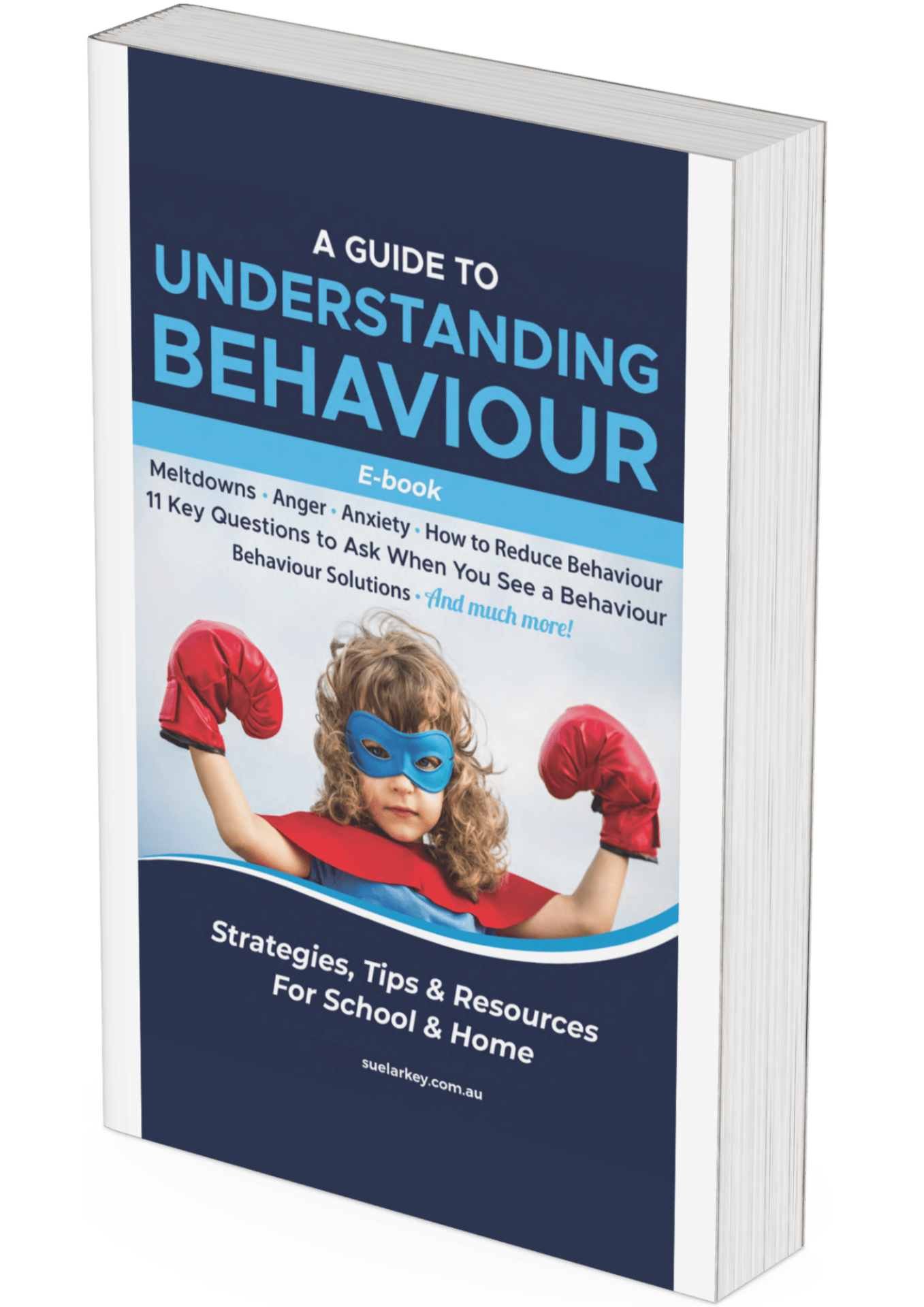 A Guide To Understanding Behaviour - Sue Larkey E-Learning